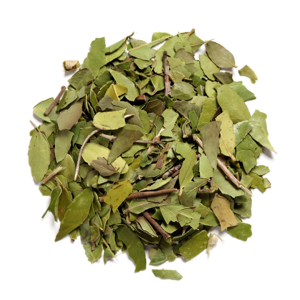 American Yaupon for Sale | Order Single Origin Yaupon Loose Leaf Tea ...